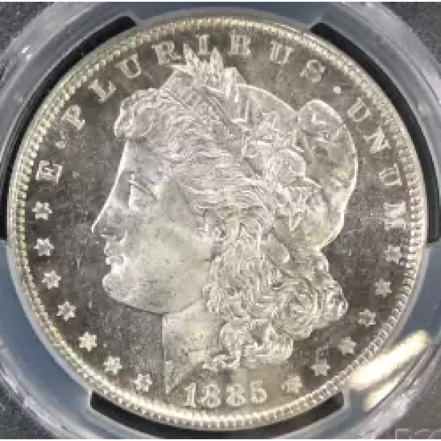 1885 Morgan Silver Dollar PCGS MS-65 DMPL - Arrowhead Coin & Jewelry